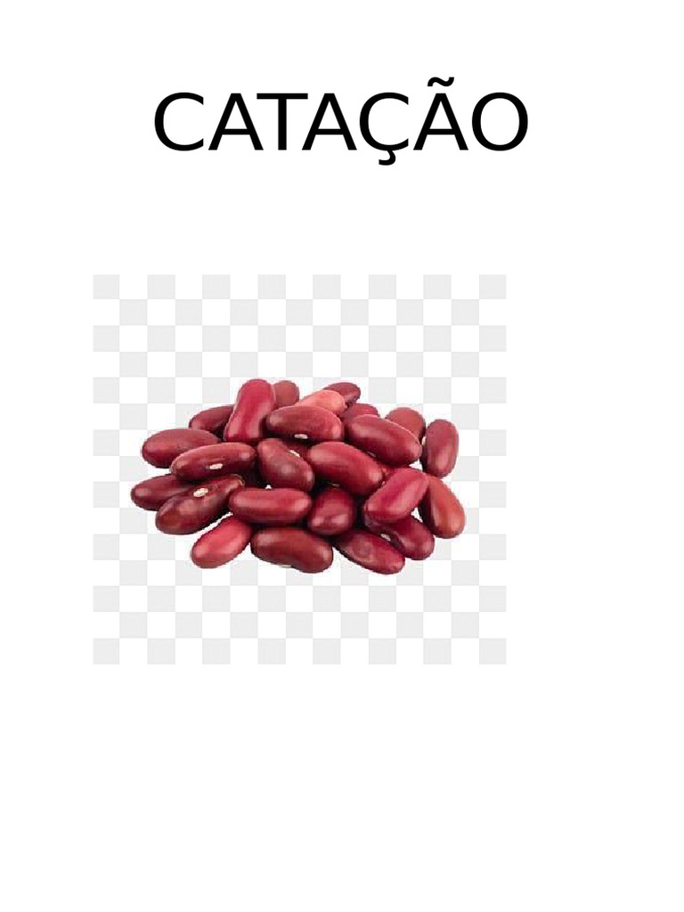 Catação: Método de Separação Manual | PDF