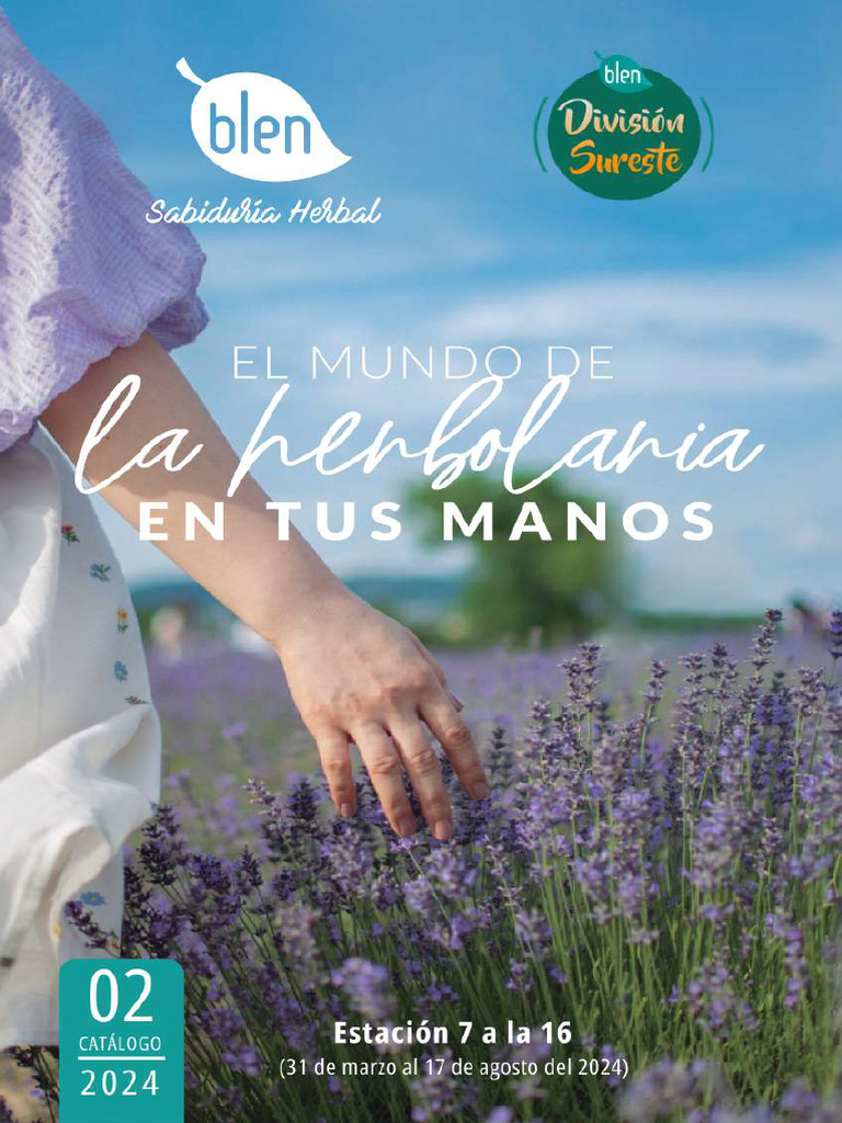 Blen Cat 02 2024 | PDF