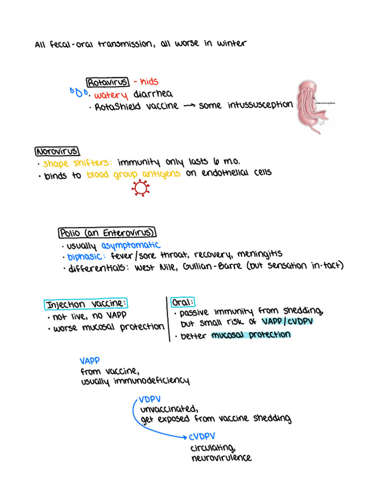 GI Viruses | PDF