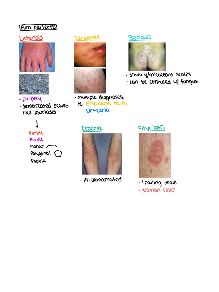 Skin Conditions: Patterns & Diagnoses | PDF