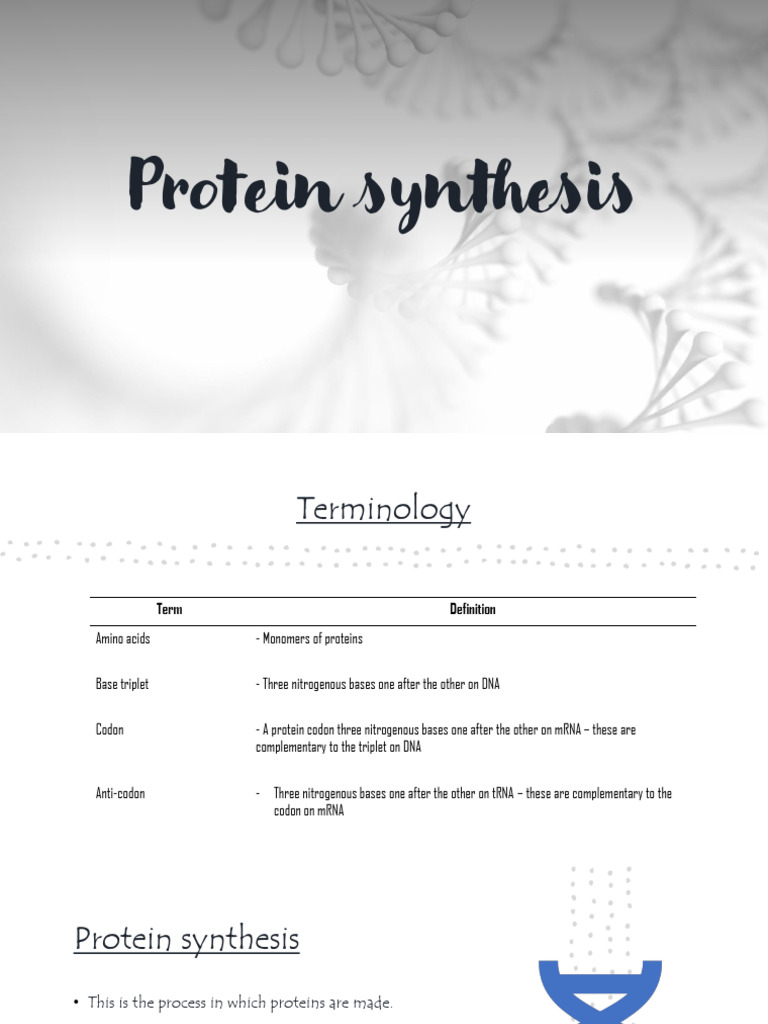 Protein synthesis | PDF | Translation (Biology) | Messenger Rna