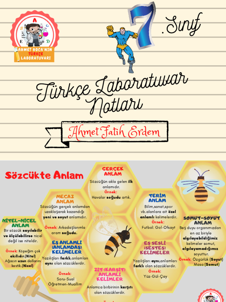 Sınıf Kavram Haritaları | PDF