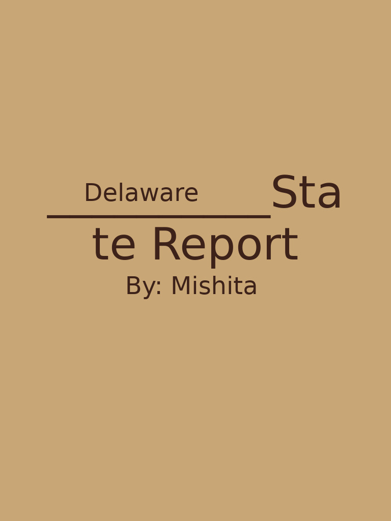 State Report | PDF