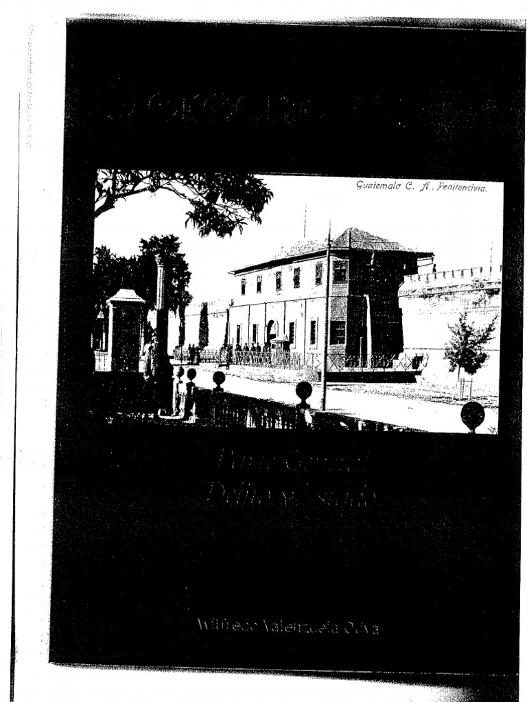 Libro Procesal Penal Wilfredo Valenzuela | PDF