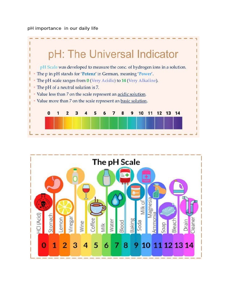 10th Project-1 | PDF
