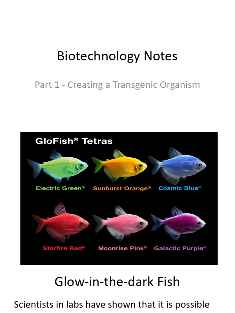 Biotechnology Notes - Transgenic Organisms | PDF