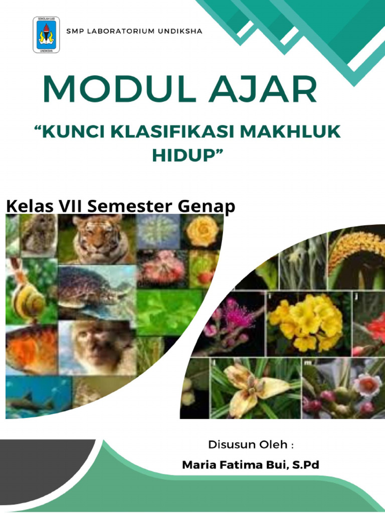 Modul Ajar - TaRL - Kunci Klasifikasi | PDF