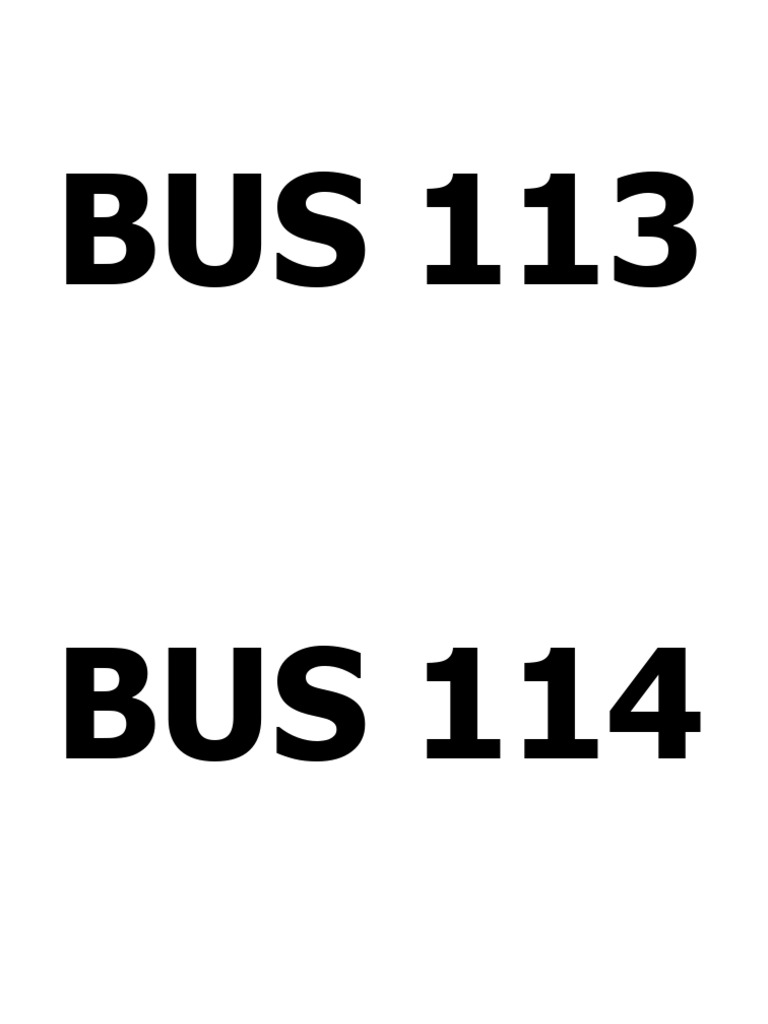Bus 113 | PDF