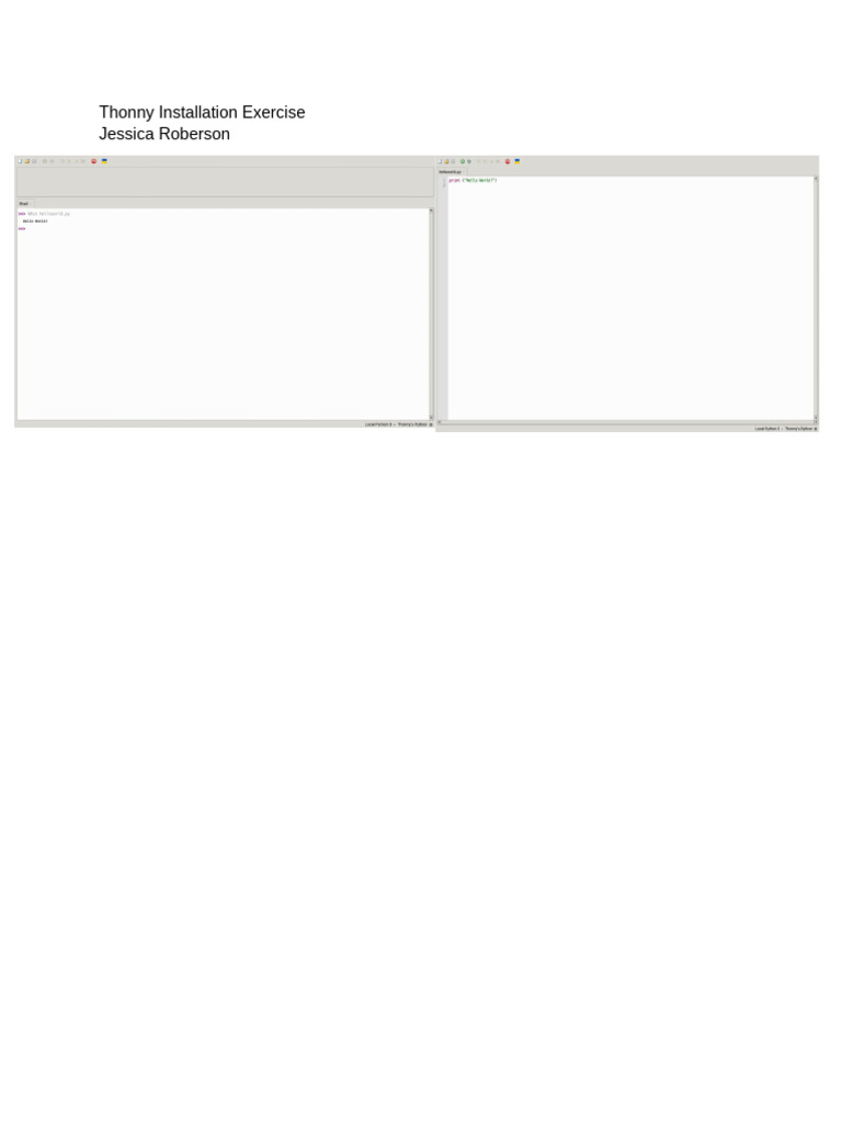 Thonny Installation Exercise | PDF
