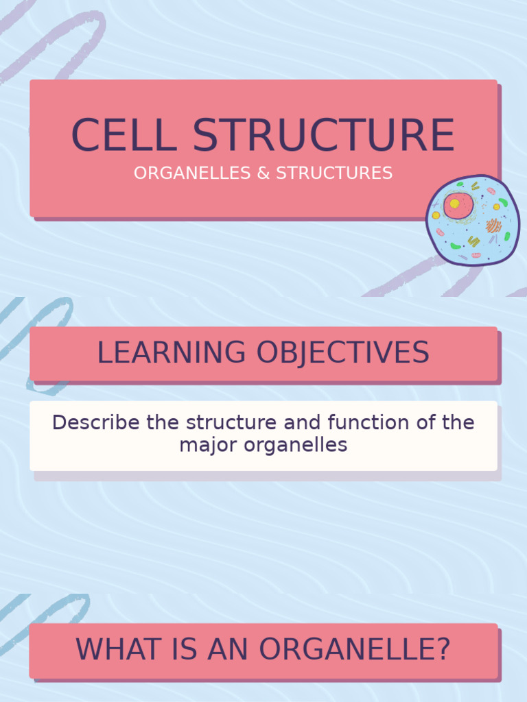 LESSON 2 Cell Structure | PDF | Endoplasmic Reticulum | Cell (Biology)