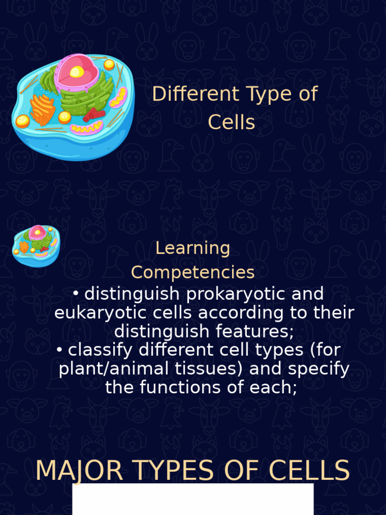 Prokaryotic vs Eukaryotic Cells Guide | PDF