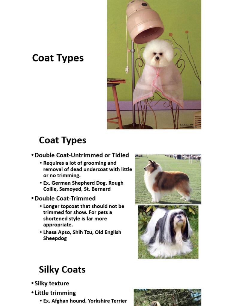 Essential Guide to Dog Coat Types | PDF