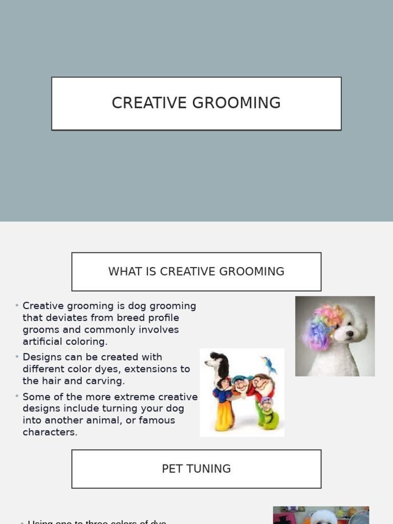 Creative Dog Grooming Techniques | PDF