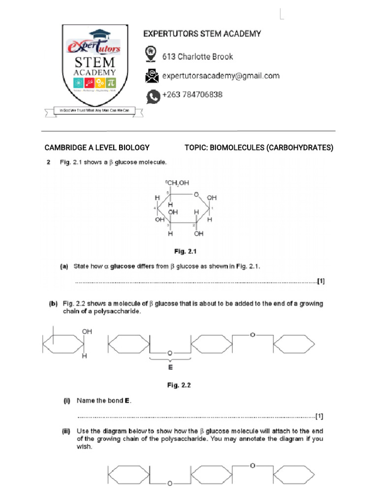 Biomolecules Worksheet A Level Bio | PDF