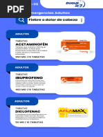 HEPTADIN | PDF | Dolor de cabeza | Migraña