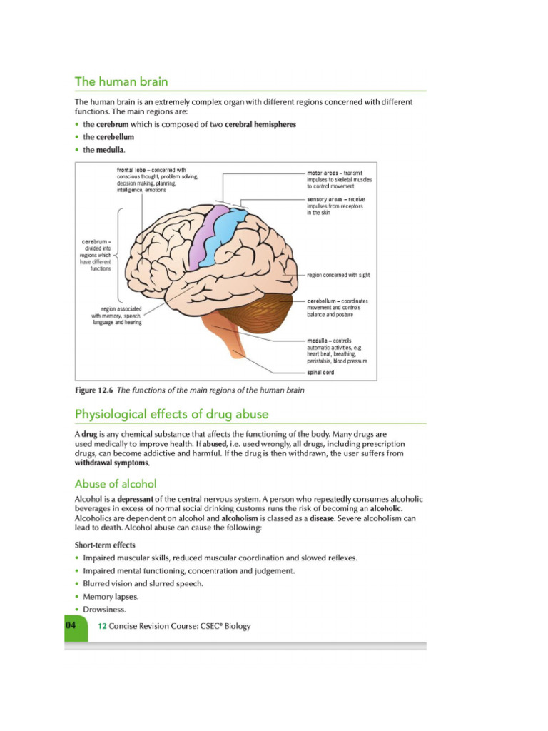 Brain and Drugs | PDF