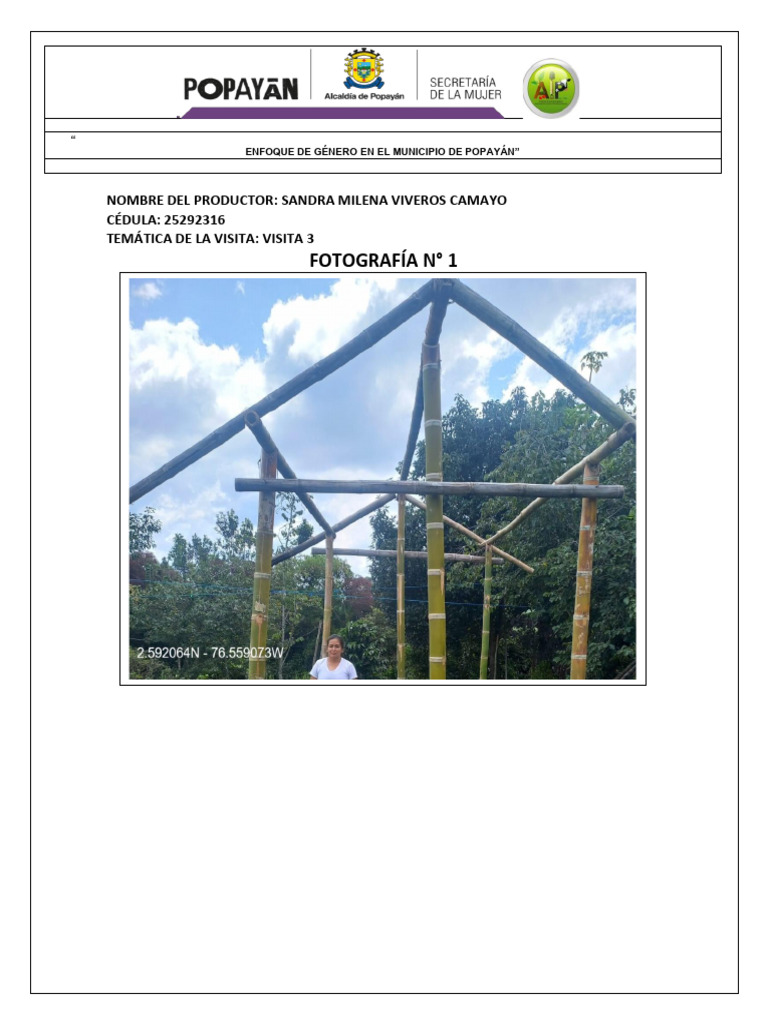 75 - Sandra Johana Viveros Camayo V3 | PDF