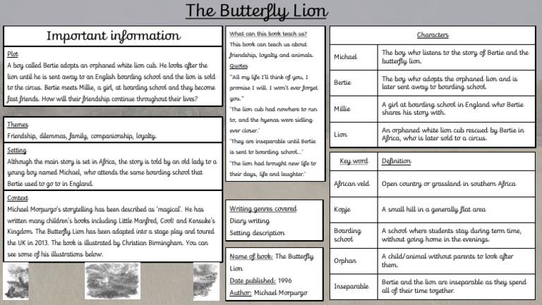 The Butterfly Lion: Friendship & Loyalty | PDF | Lion