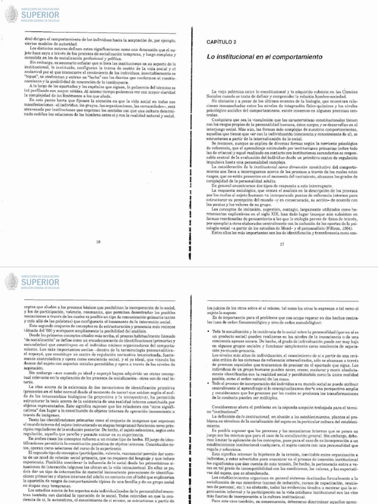 Analisis Institucional Lidia Fernandez 5 7 | PDF