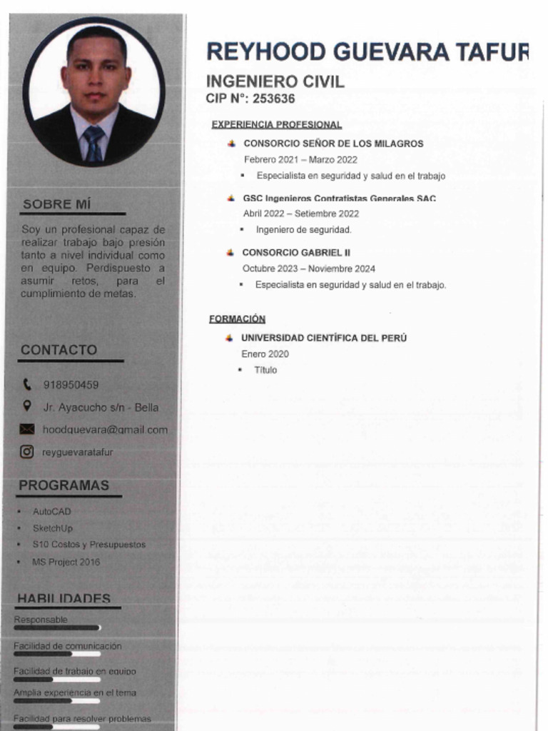 Cv2025-Reyhood Guevara Tafur | PDF