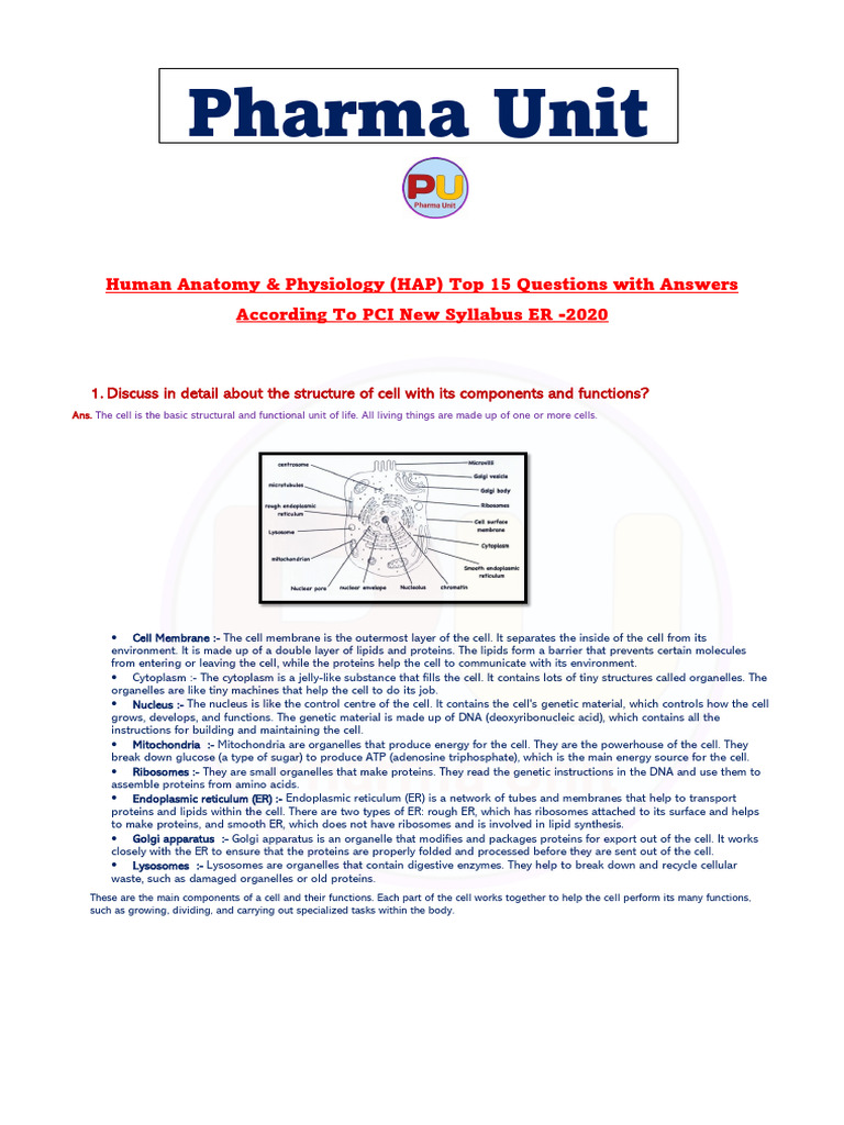 HAP Important Question S & Answers | PDF | Epithelium | Heart