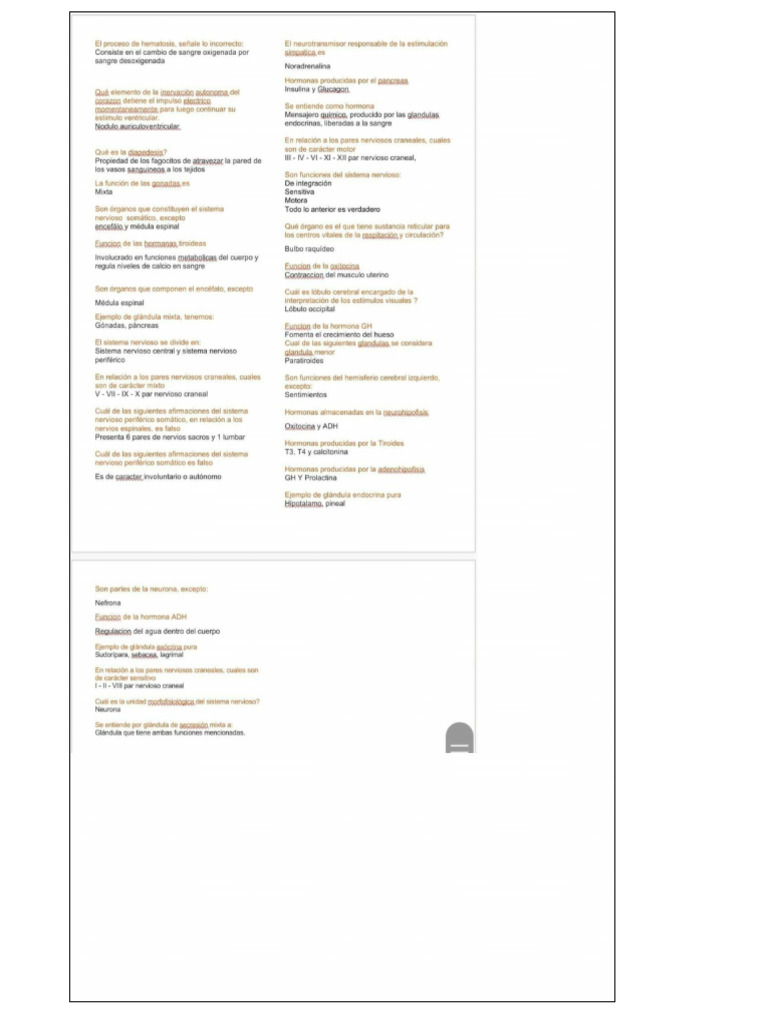 Trabajo Morfo 2 | PDF