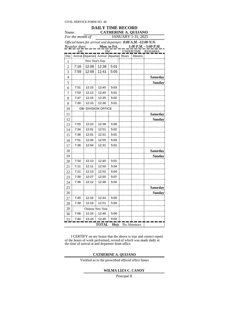 DTR Template - January 2025 | PDF