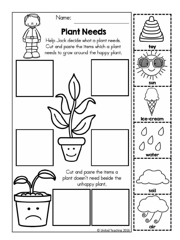 Plants Needs | PDF