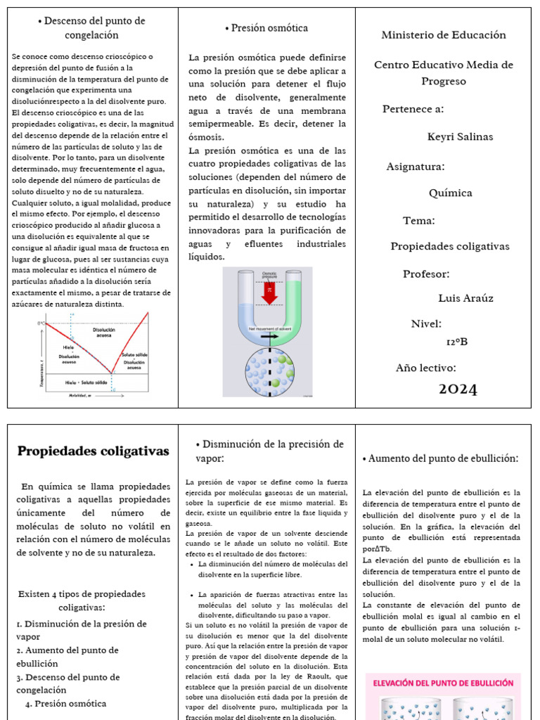 Tríptico química | PDF | Ósmosis | Vapor