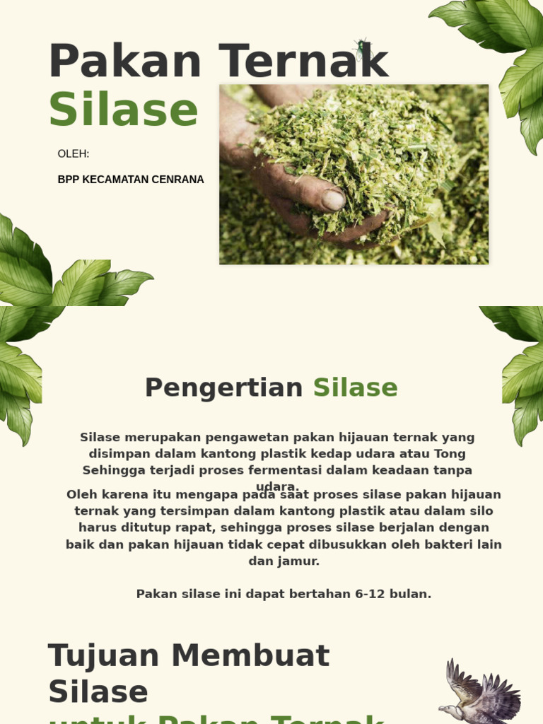 Pembuatan Pakan Ternak Silase | PDF