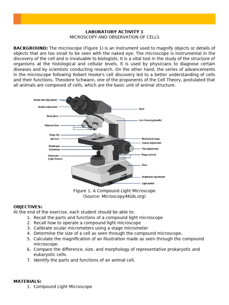 BIO1204 LA1 Microscopy and Observation of Cells | PDF | Staining ...