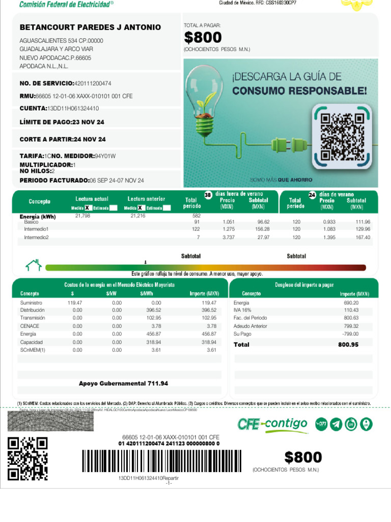 Factura de CFE: Pago y Detalles | PDF
