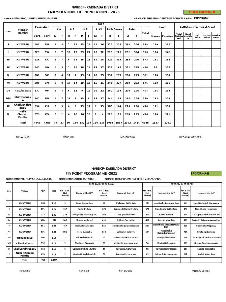 Pin Point Empty Proforma 2025 | PDF