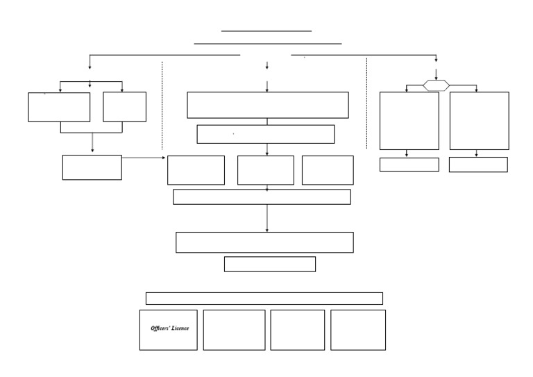 Flowchart For Ship Registration Procedures | PDF