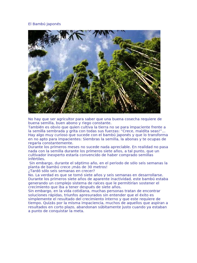 13 El Bambú Japonés | PDF