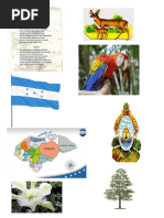 Simbolos Mayores y Menores | PDF | Honduras