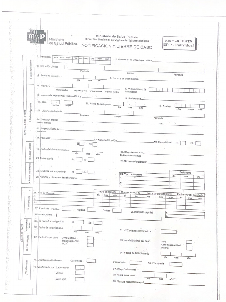 Hoja de Panel Viral | PDF