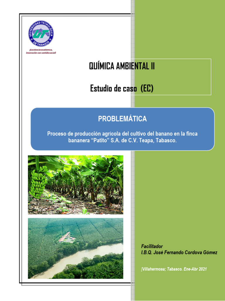Química Ambiental Ii Estudio de Caso (EC) : Problemática | PDF | Pesticida | Evaluación