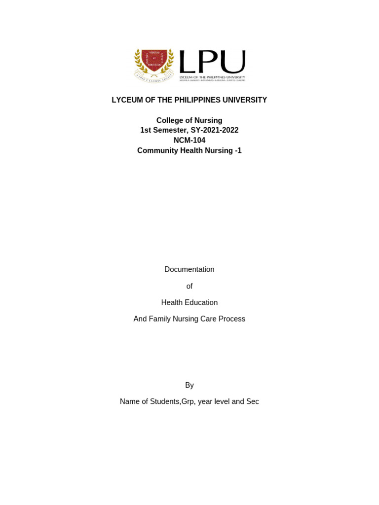 CHN 1 Format of Documentation 1 | PDF