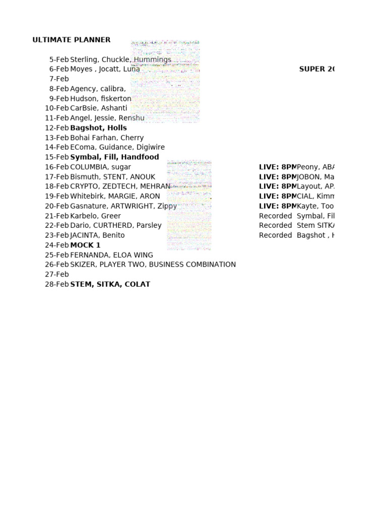 SBR ULTIMATE PLANNER | PDF