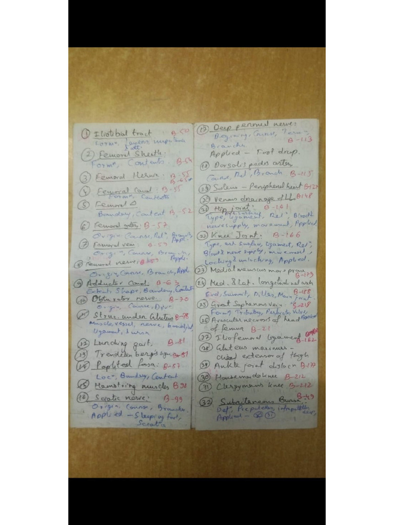Anatomy 1st INTERNAL | PDF