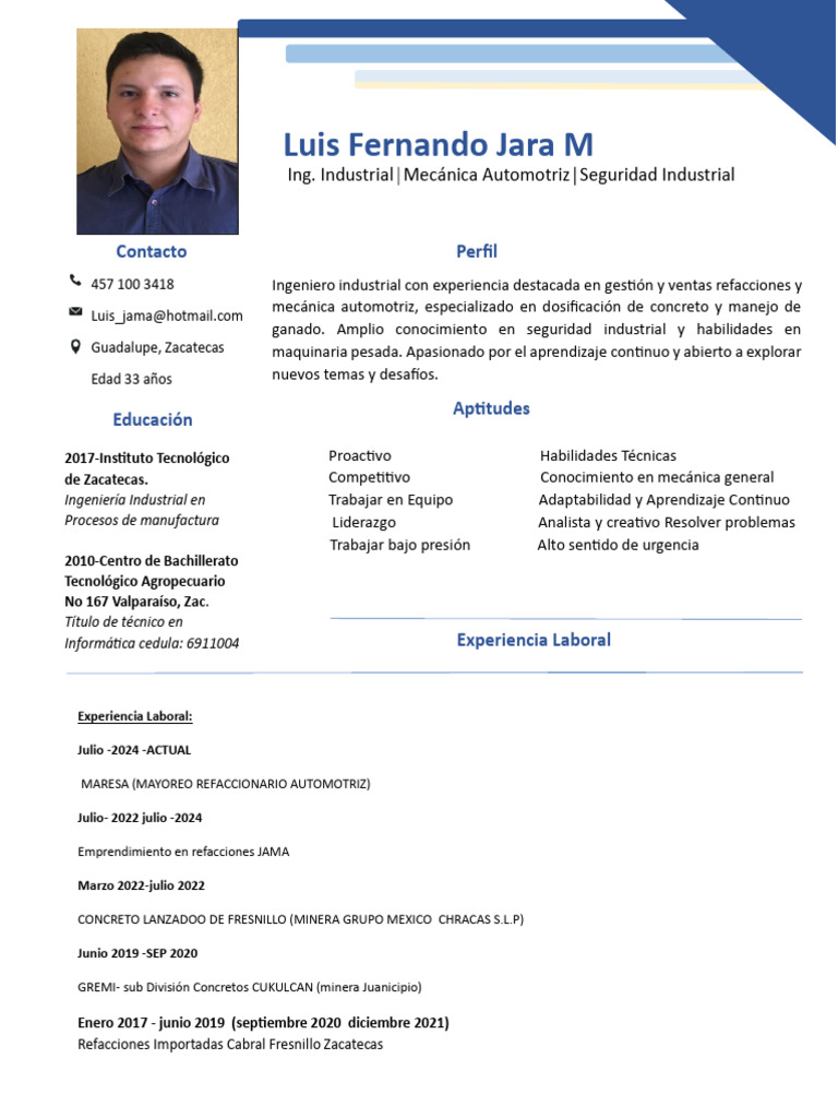 CV Ing Luis Fernando Jara Marquez | PDF