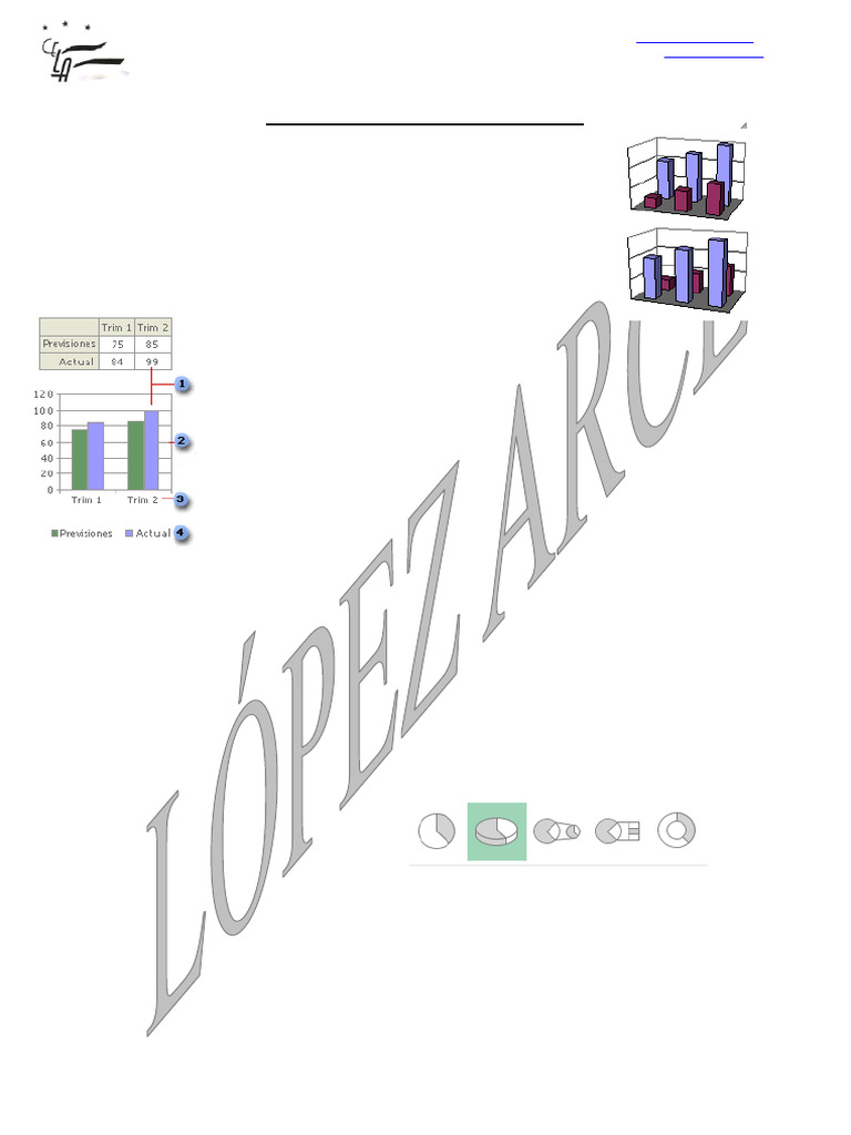 Test de Gráficos en Excel - C.E. López Arce | PDF