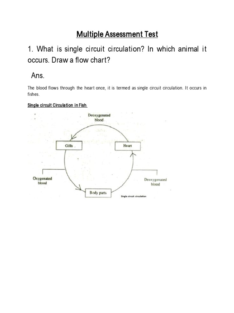Multiple Assessment Test | PDF