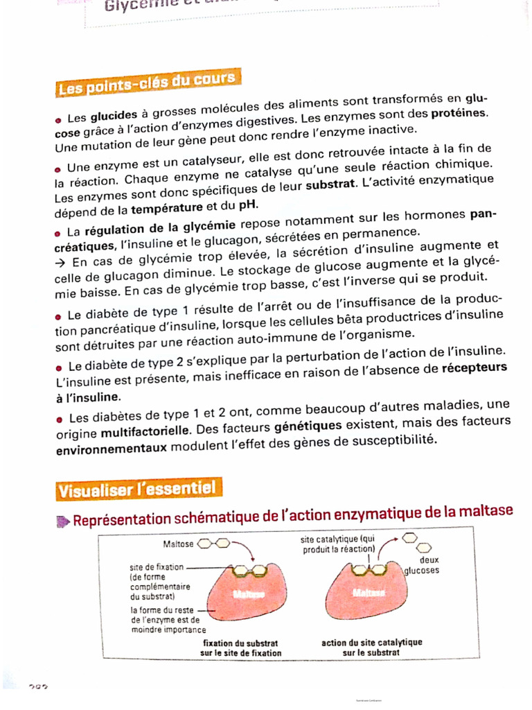 Fiches de Cours de SVT Pour Le Tle..... KHM | PDF