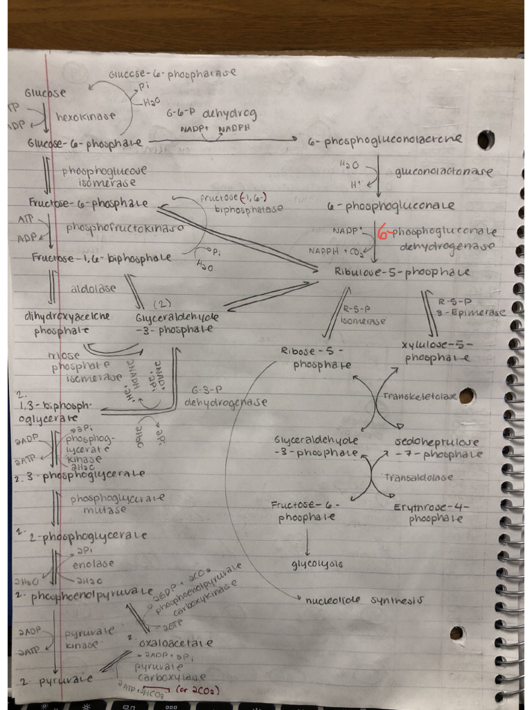 MCAT Pathways 1 | PDF