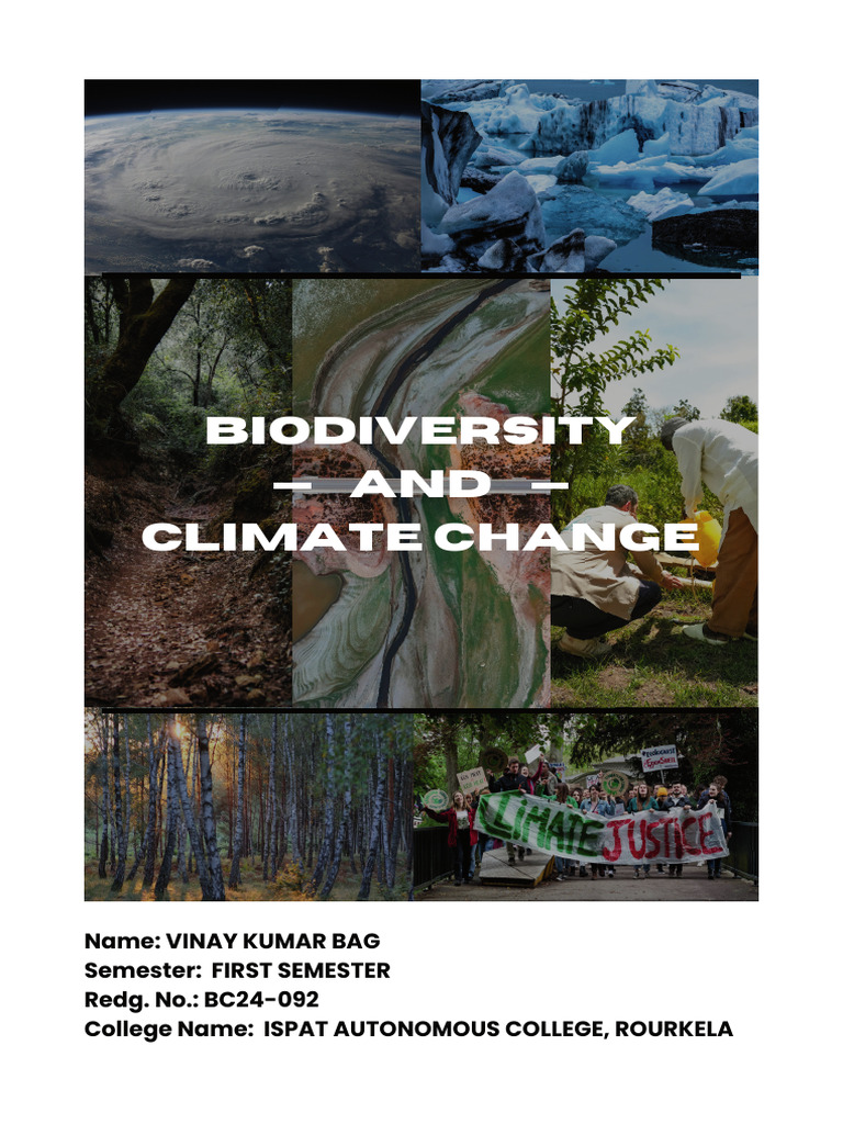 Eco Project Laidrnsoaknsjfir Pdf