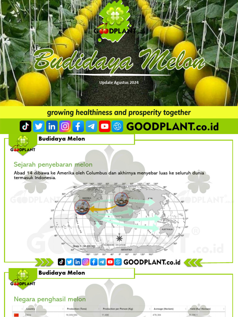 Budidaya Melon | PDF