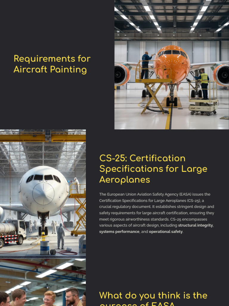Requirements-for-Aircraft-Painting | PDF