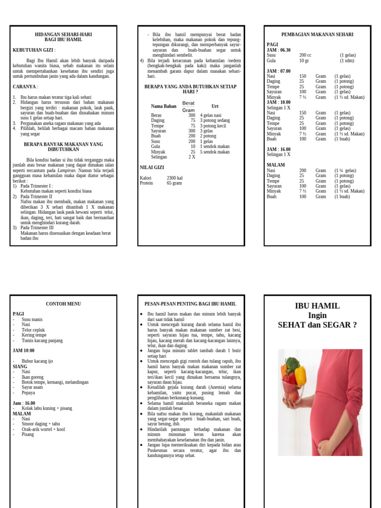 Leaflet Ibu Hamil Sehat&Segar | PDF